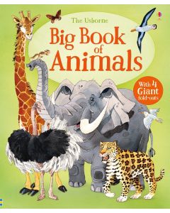 Big Book of Animals | Usborne | Be Curious