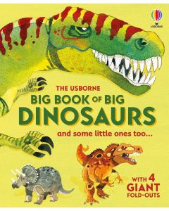 Big Book of Big Dinosaurs | Usborne | Be Curious