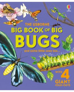 Big Book of Big Bugs | Usborne | Be Curious