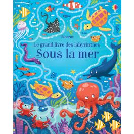 Sous la mer | Usborne | Des livres pour explorer le monde