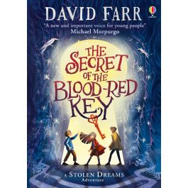 The Secret of the Blood-Red Key | Usborne | Be Curious