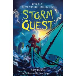 Storm Quest | Usborne | Be Curious