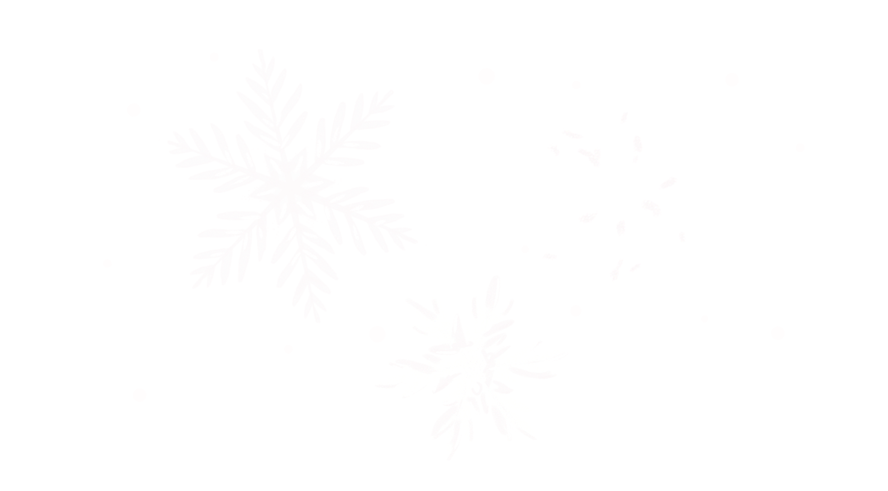 Quicklinks | Usborne | Be Curious