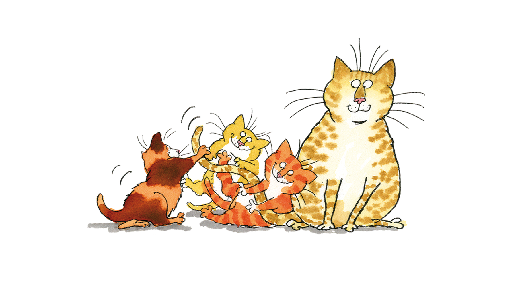 Quicklinks | Usborne | Be Curious