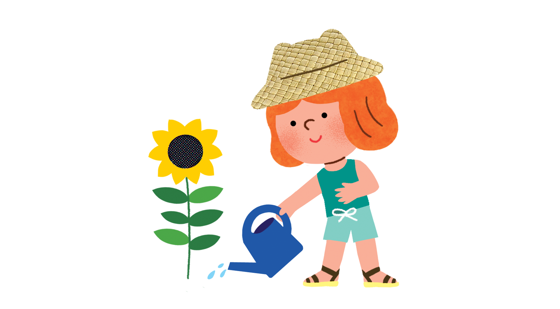 Quicklinks | Usborne | Be Curious