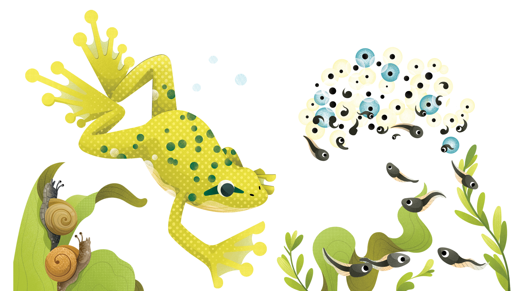 Quicklinks | Usborne | Be Curious