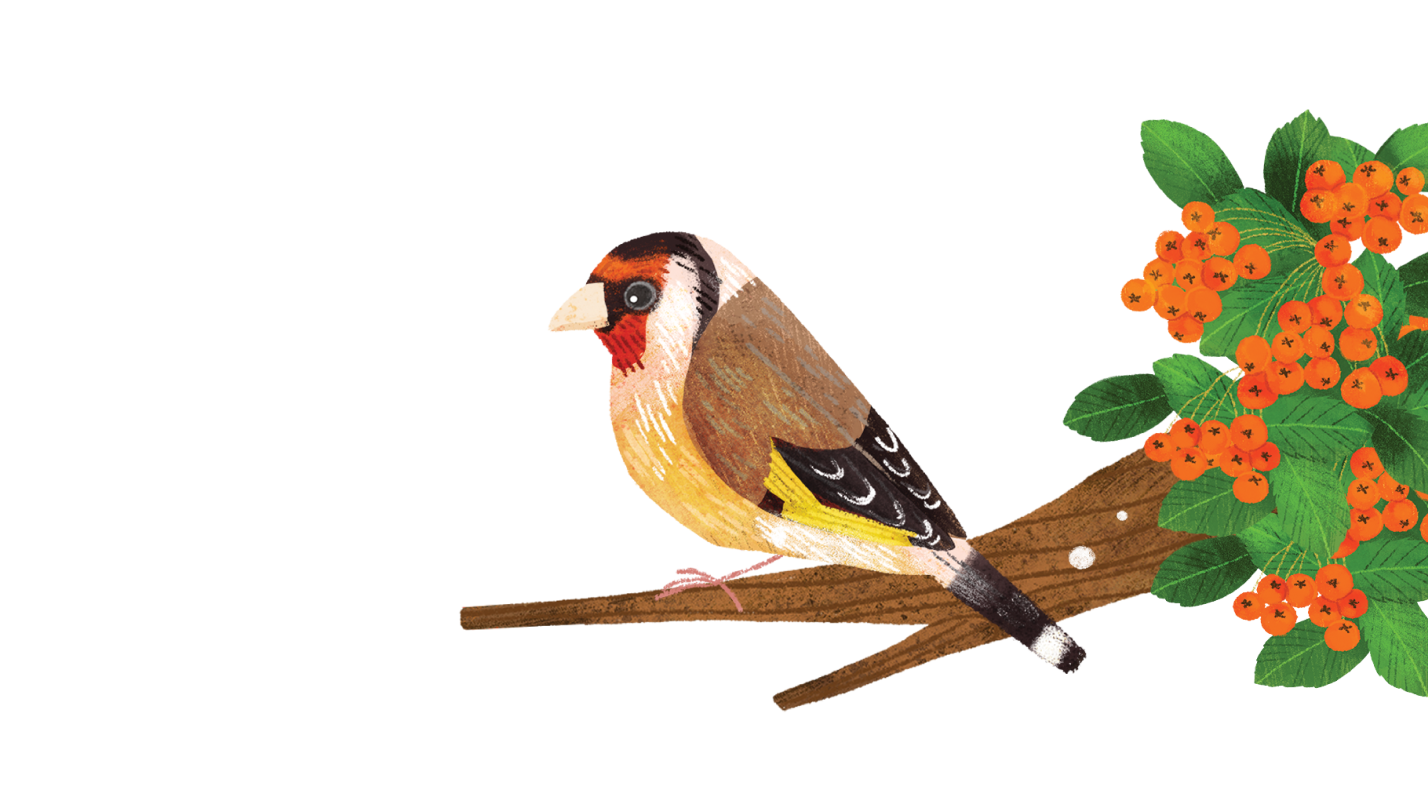 Quicklinks | Usborne | Be Curious