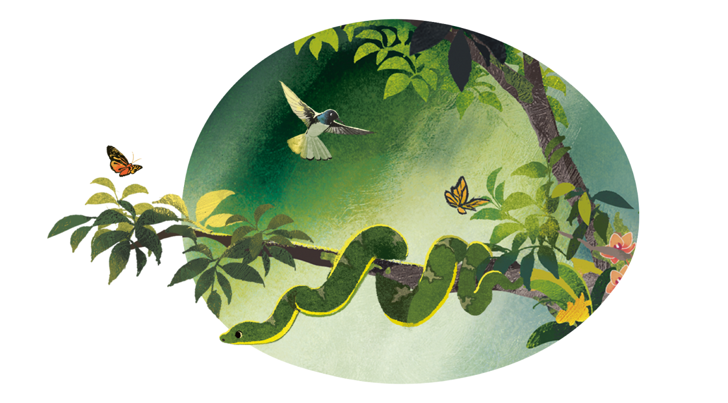 Quicklinks | Usborne | Be Curious