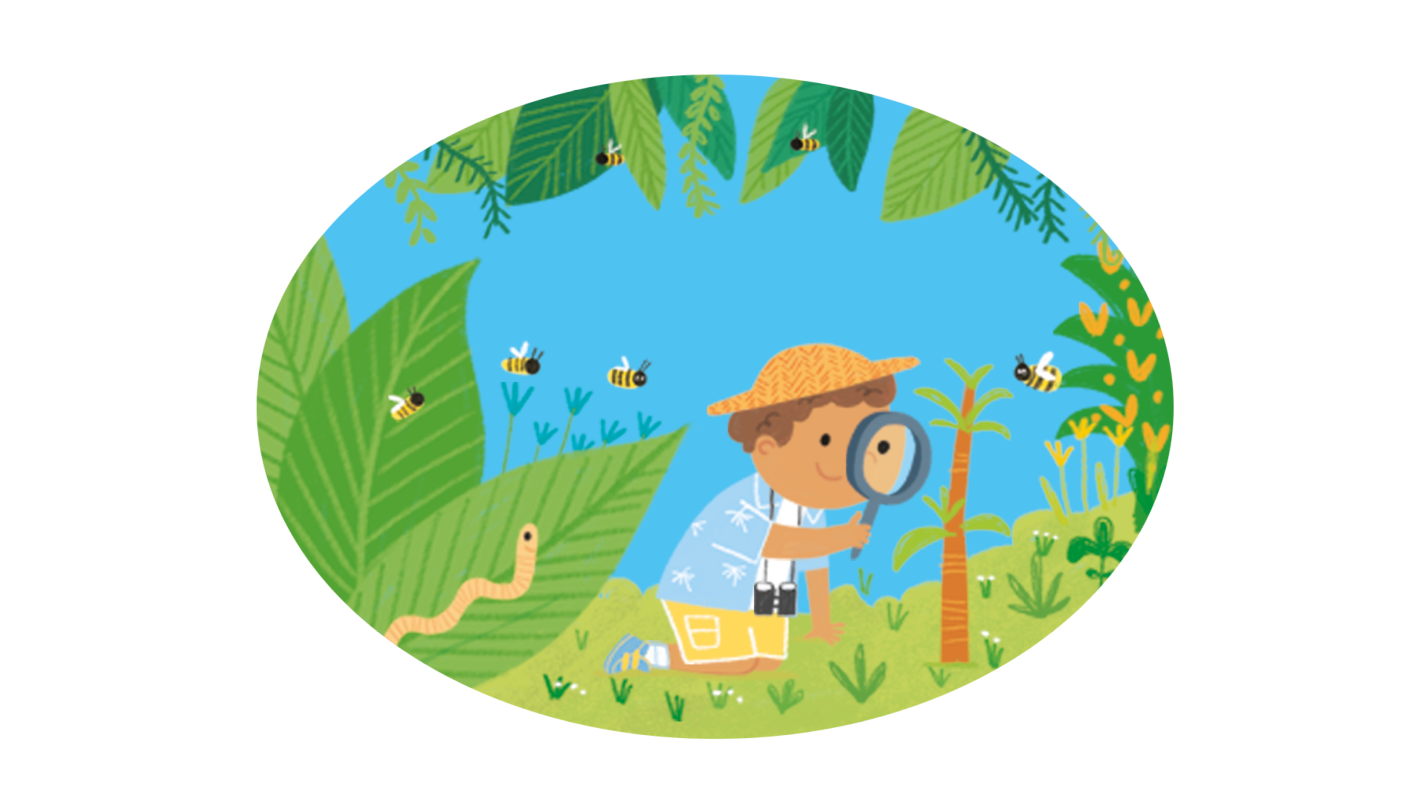 Quicklinks | Usborne | Be Curious