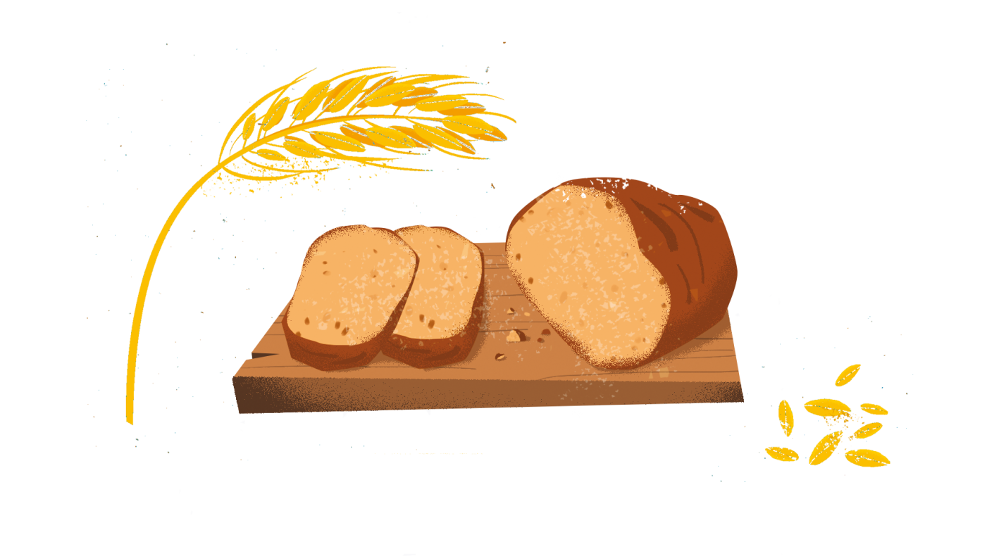 Quicklinks | Usborne | Be Curious