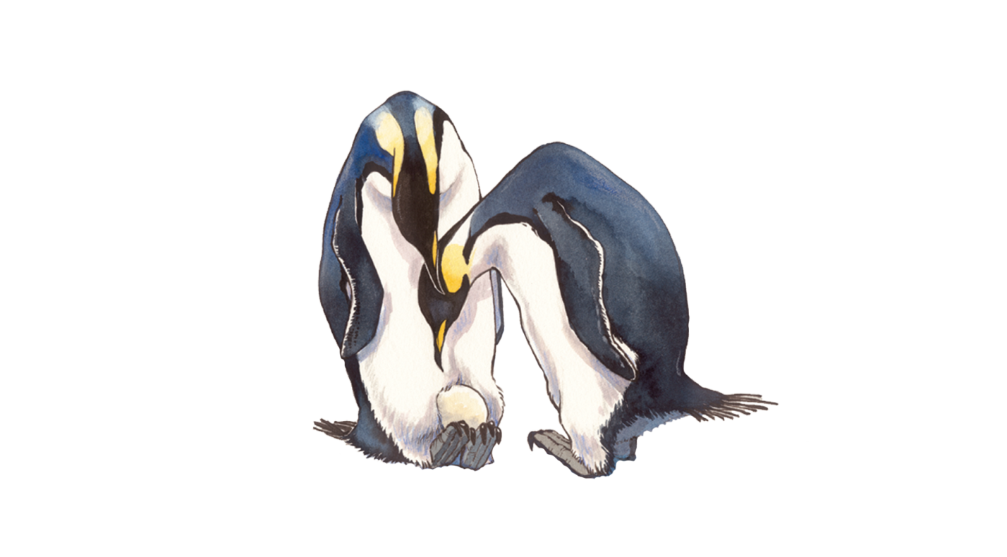 Quicklinks | Usborne | Be Curious