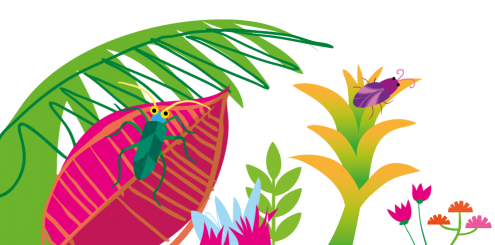 Usborne monthly prize draw | Usborne | Be Curious