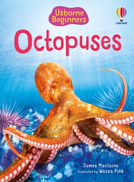 Beginners Octopuses | Usborne Quicklinks | Be Curious