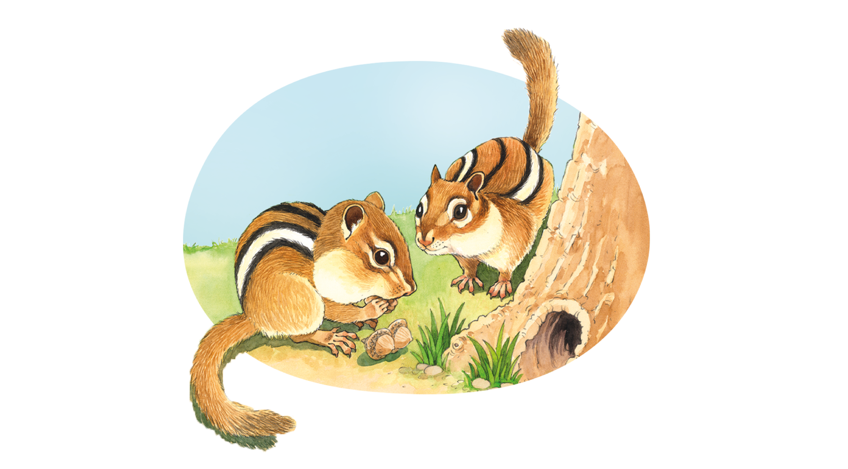 Leafy hiding places | Usborne | Be Curious