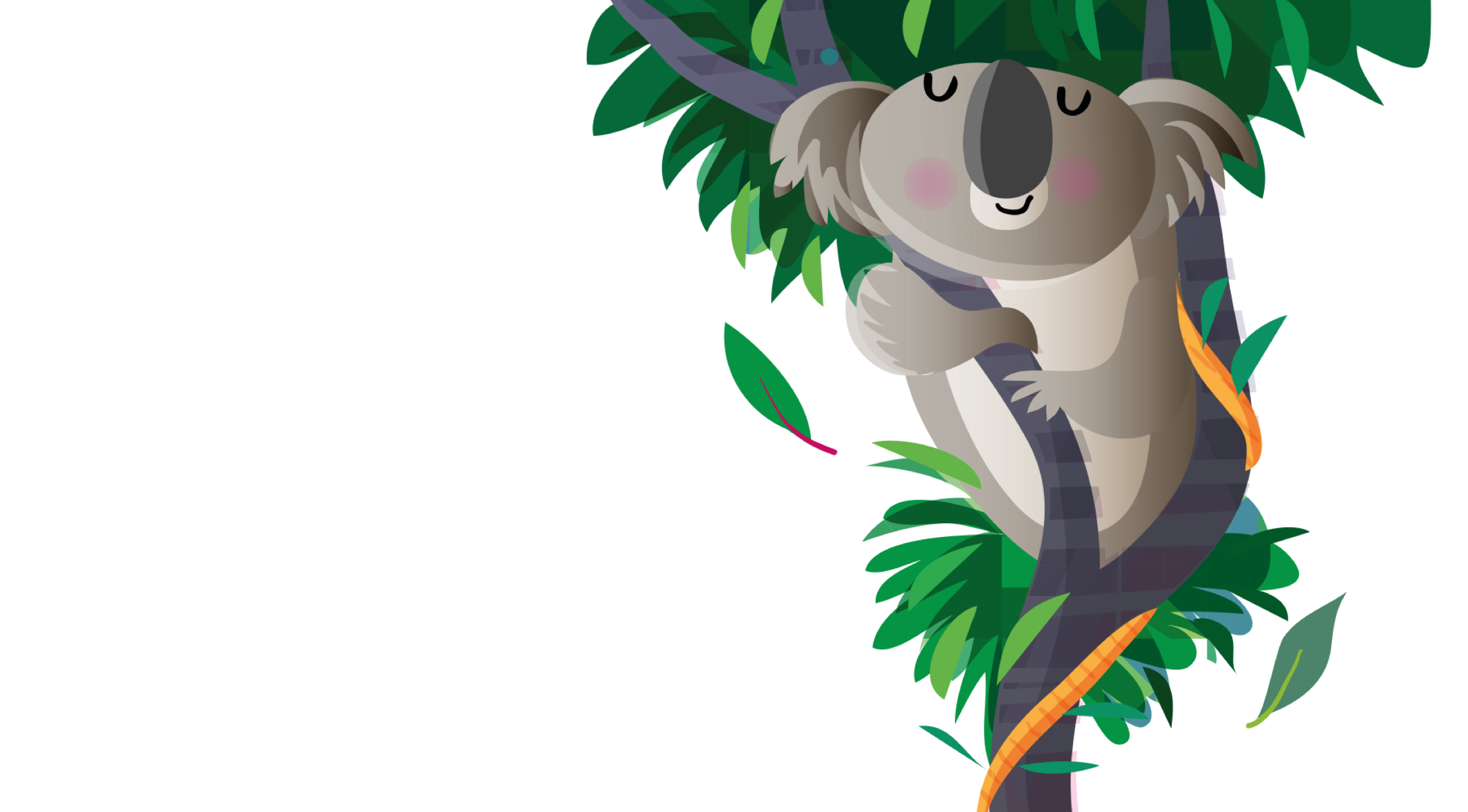 Cuddly koala | Usborne | Be Curious