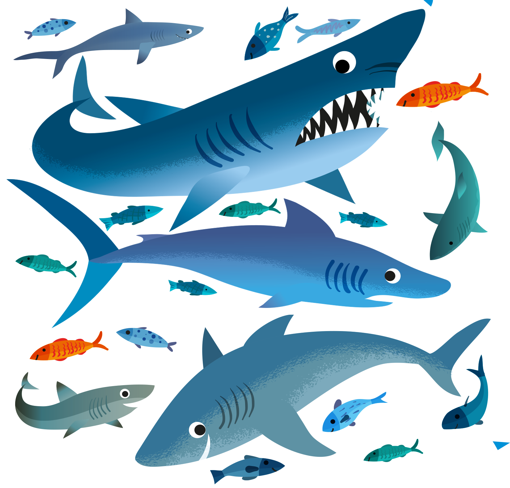 Swim with sharks in the Bahamas #SharkAwarenessDay | Usborne | Be Curious