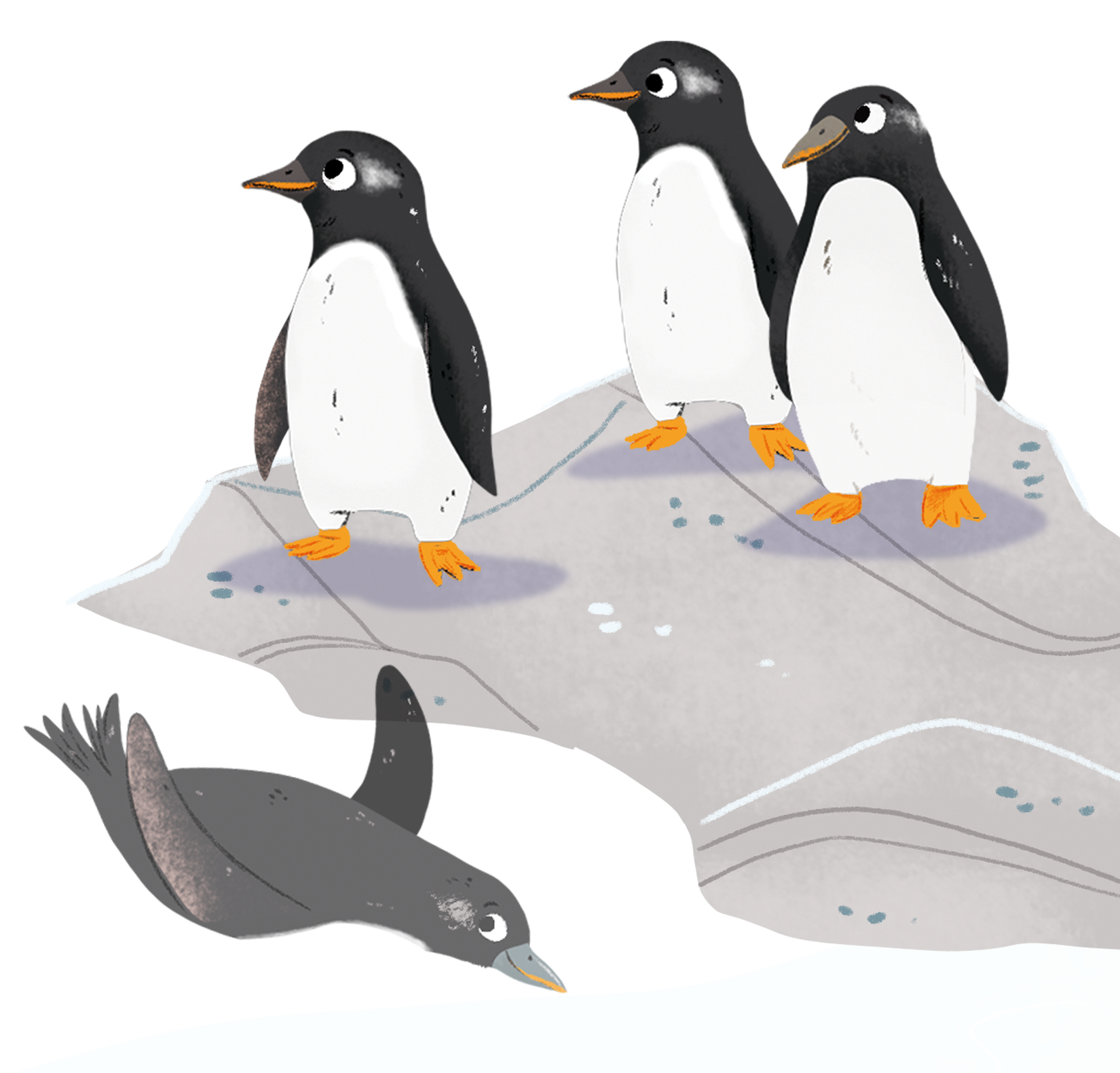 Toe-tapping #penguins | Usborne | Be Curious