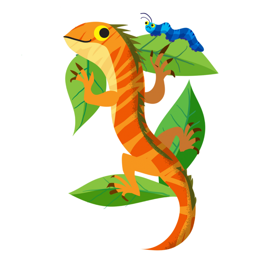 Quicklinks | Usborne | Des livres pour explorer le monde