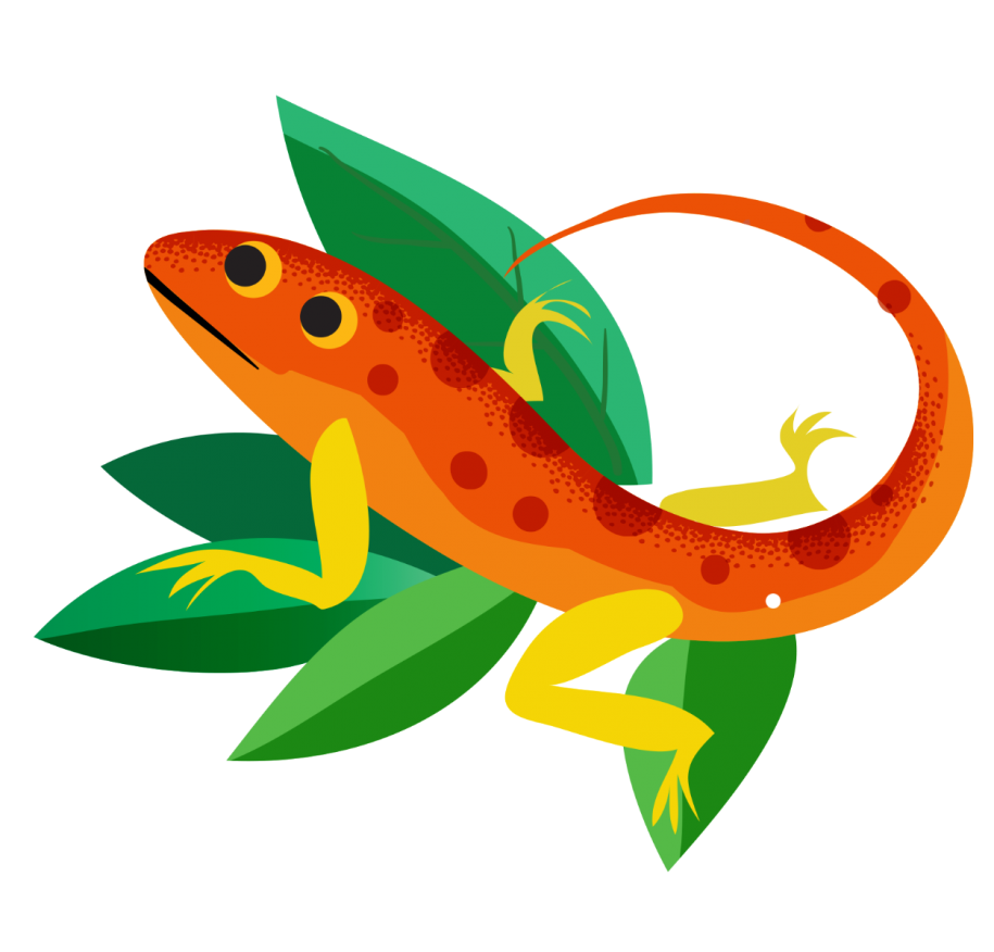 Quicklinks Scratch | Usborne | Lesespaß für Kinder