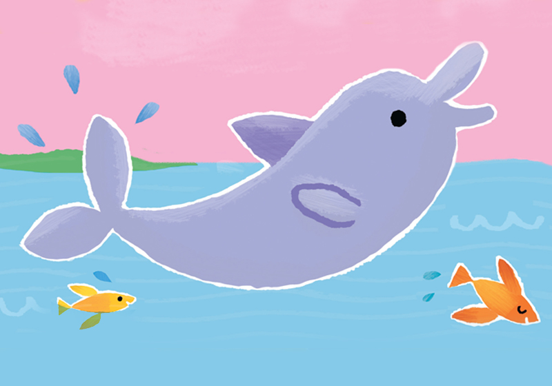 Don't Tickle the Dolphin! | Usborne | Be Curious