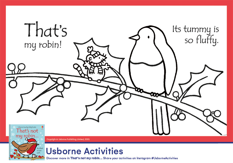 That's not my robin… | Usborne | Be Curious