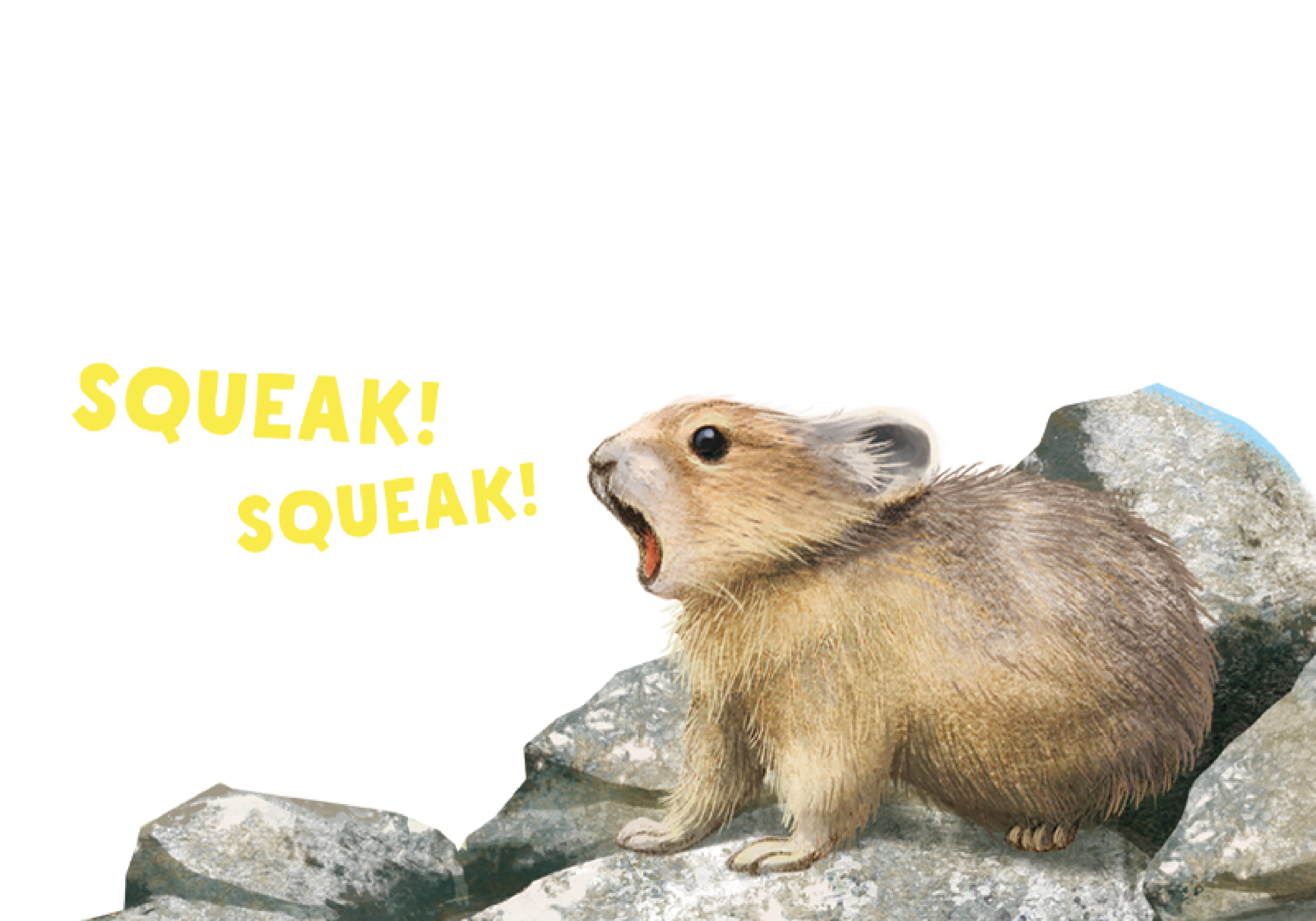 Meet a master of disguise | Usborne | Be Curious