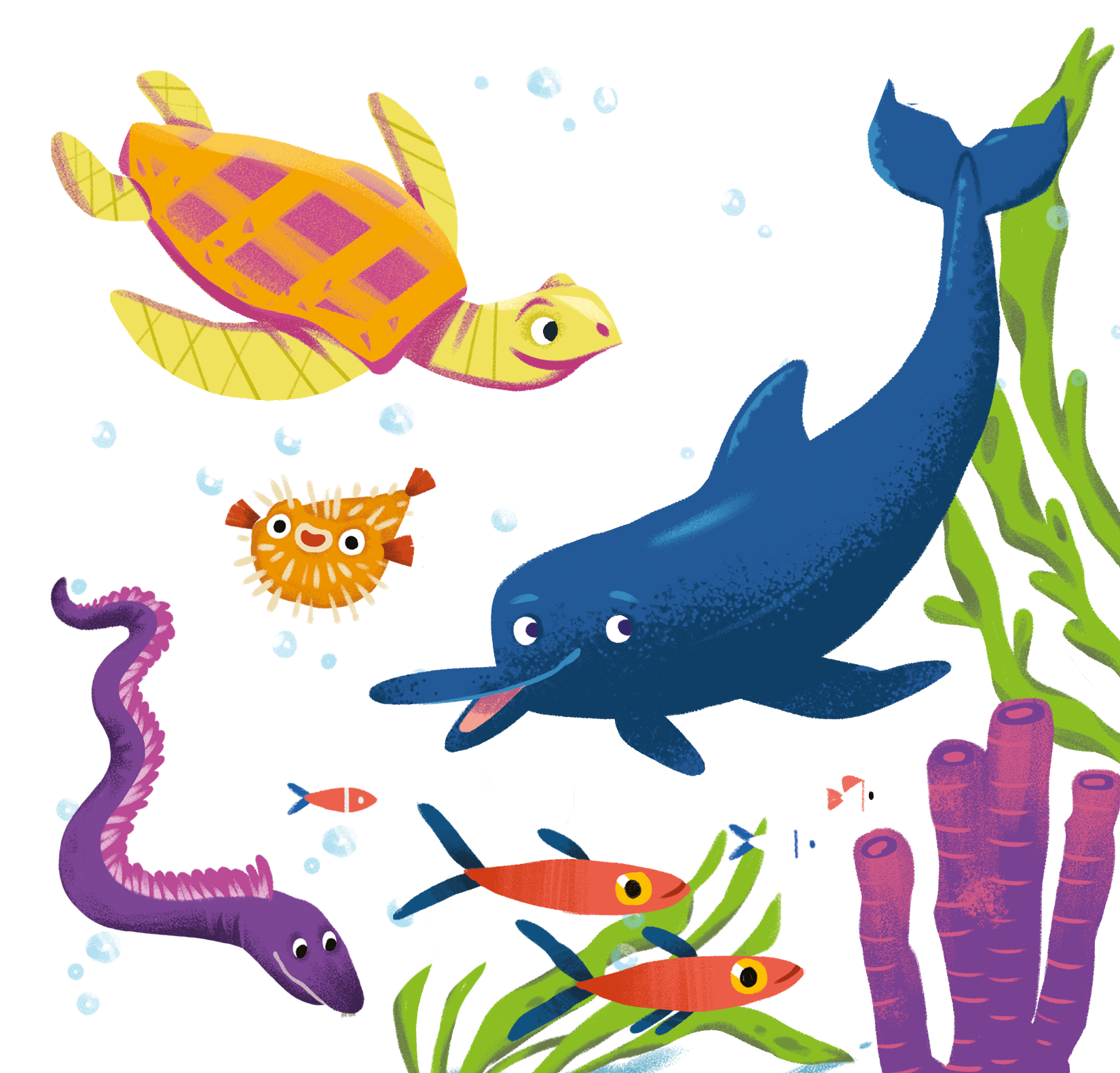 Try a quiz about ocean creatures | Usborne | Be Curious