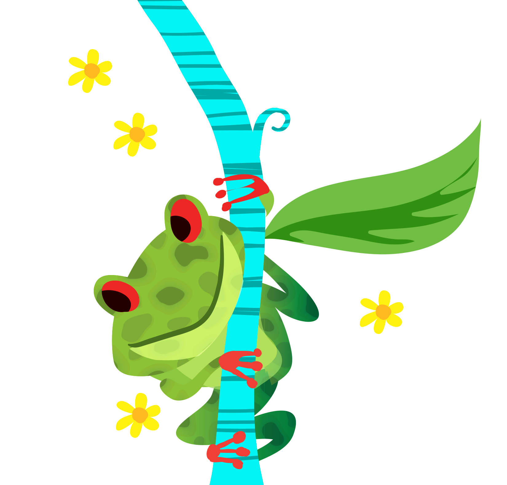 Track down a red-eyed tree frog in a rainforest | Usborne | Be Curious