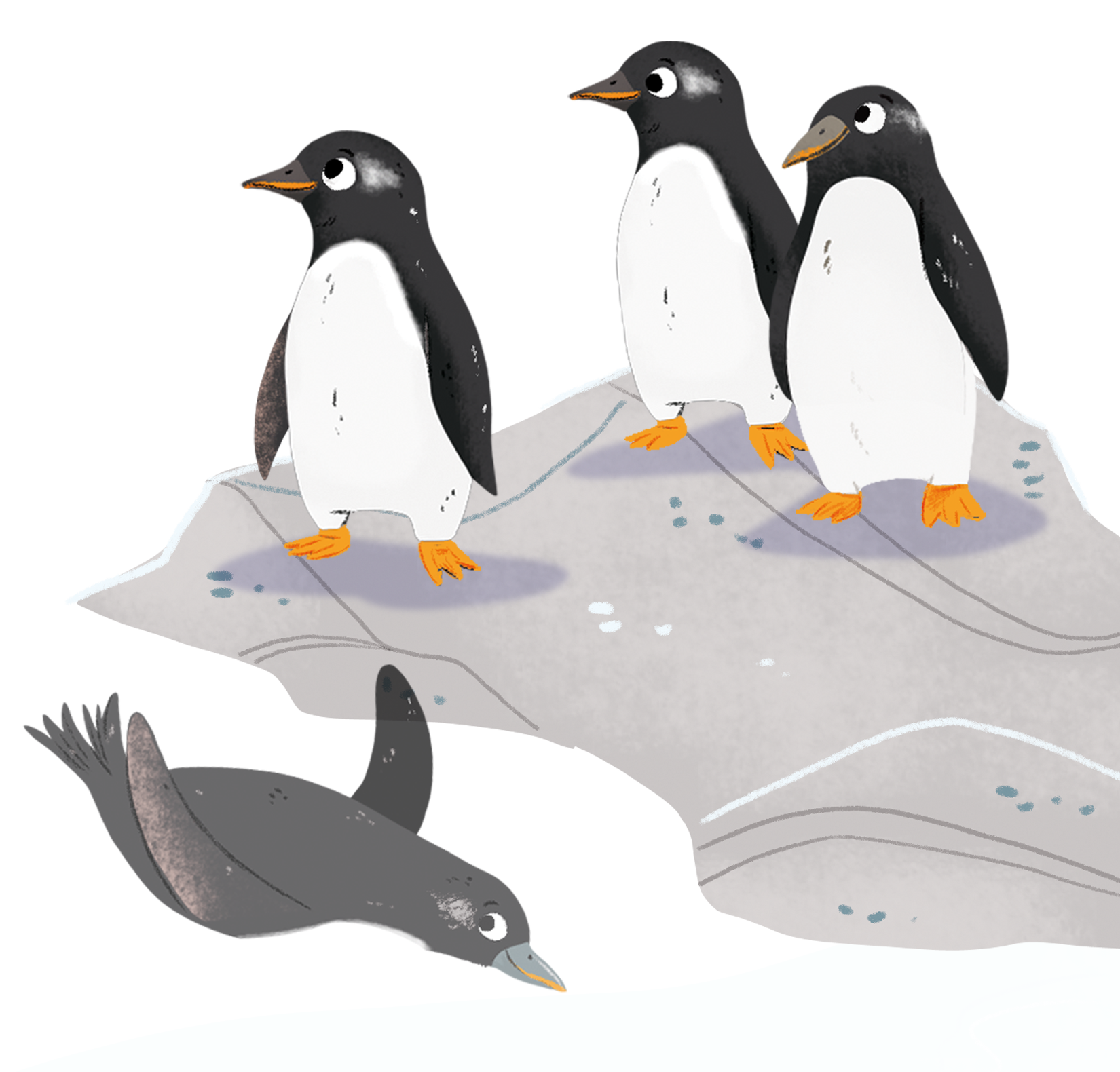 Toe-tapping #penguins | Usborne | Be Curious