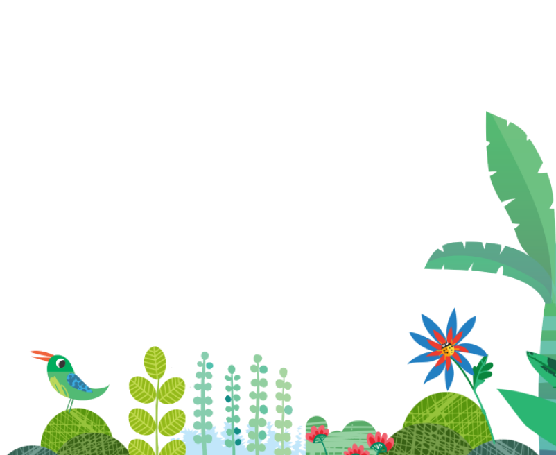 Usborne Scratch Activities - Series - Books | Usborne | Be Curious