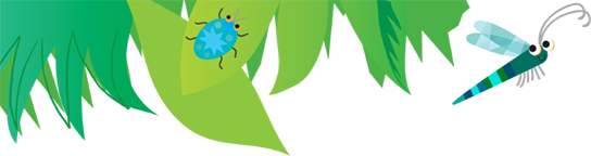 Coding for Beginners using Scratch | Usborne Quicklinks | Be Curious